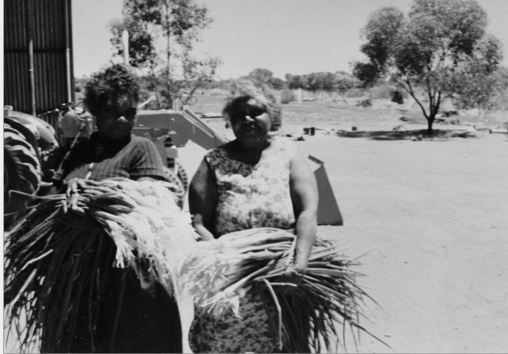 Wiluna and Birriliburu Native Title area – From another View